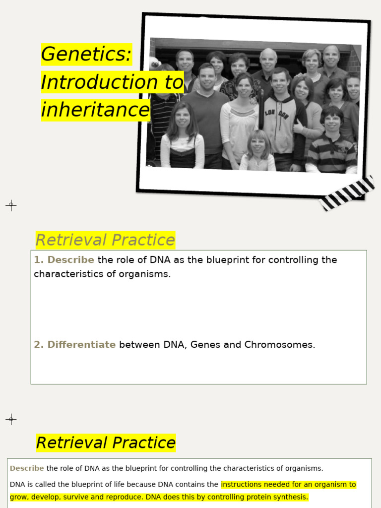 Explain The Process of Mendel I en Inheritance | PDF | Dominance ...