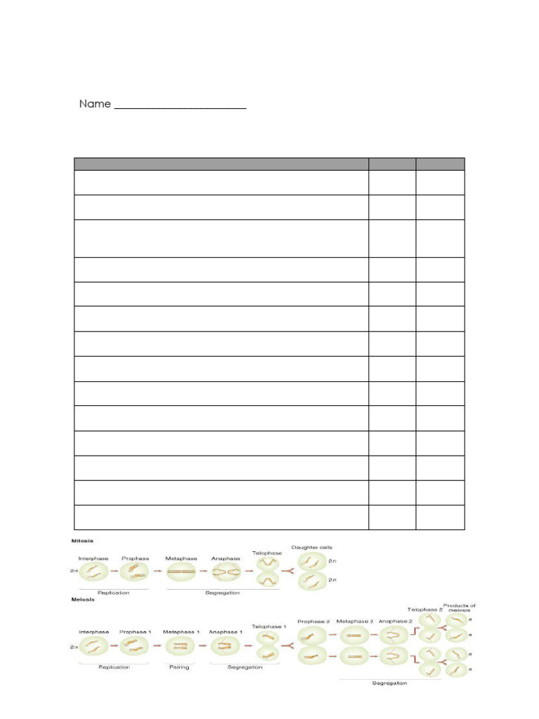 Comparing Mitosis And Meiosis Pdf