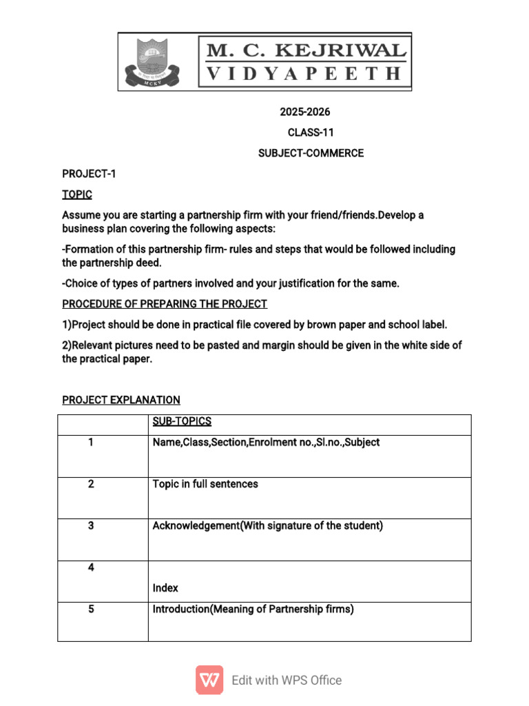 Class 11 Commerce Project Guidelines | PDF | Electronic Business