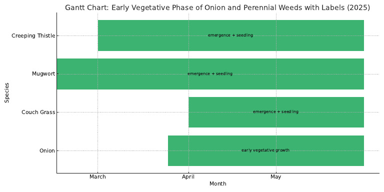 Gantt Chart Onion Weeds 2025 | PDF