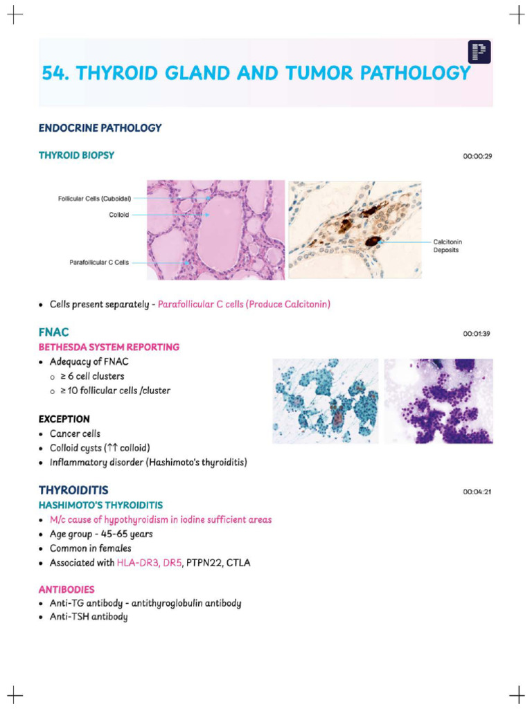 Endocrine | PDF