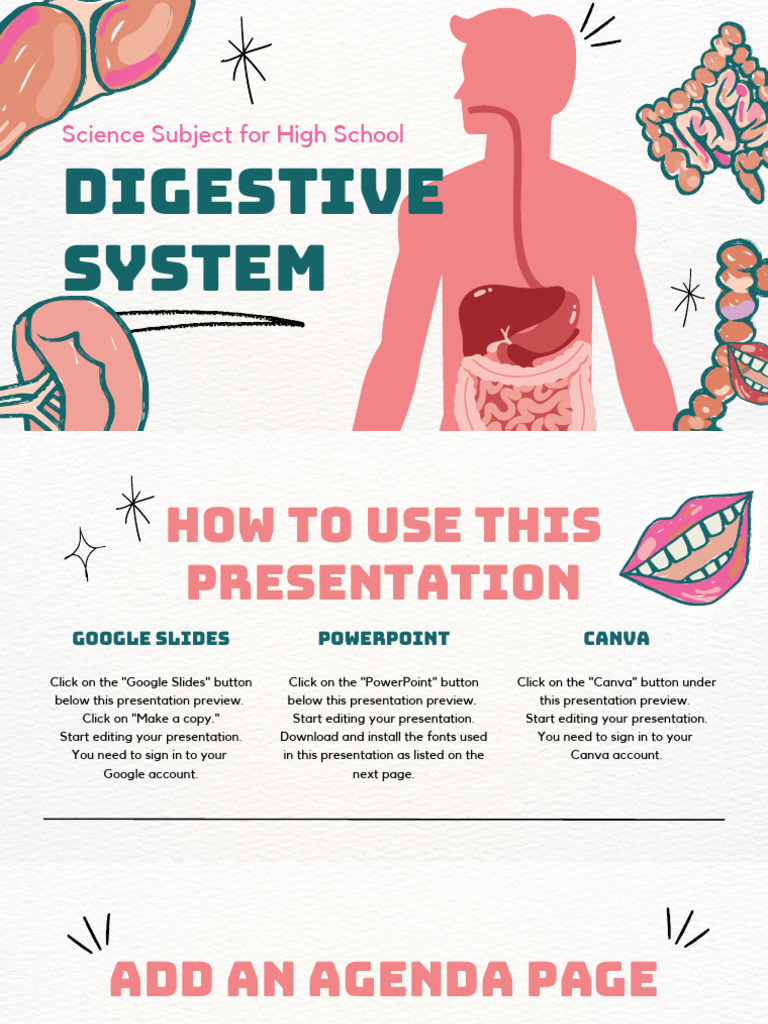 Salinan Science Subject For High School Digestive System Grey and Pink ...