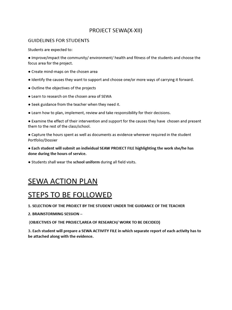 Sewa Action Plan 2025 | PDF