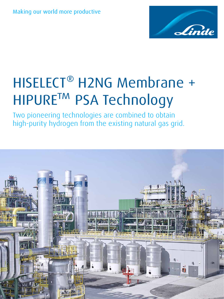 HISELECT H2NG - Membrane HIPURE PSA Technology | PDF | Adsorption ...