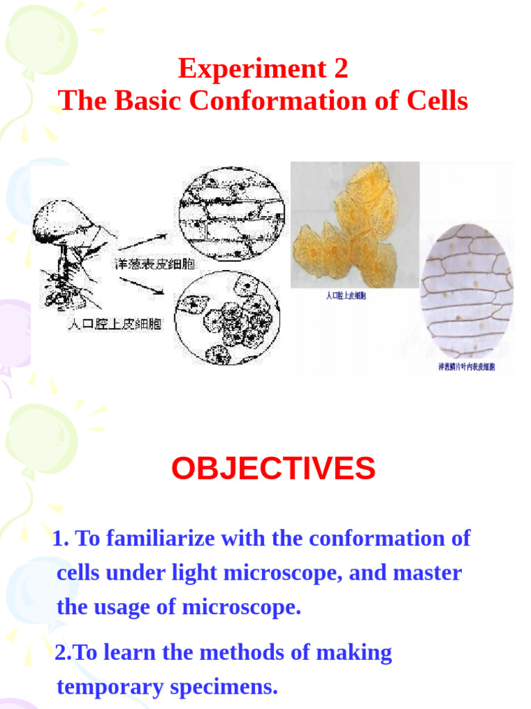 Experiment2 The Basic Conformation of Cells | PDF | Microscope | Laboratory Techniques