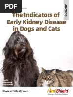 IRIS Pocket Guide To CKD 2023 | PDF | Chronic Kidney Disease | Creatinine