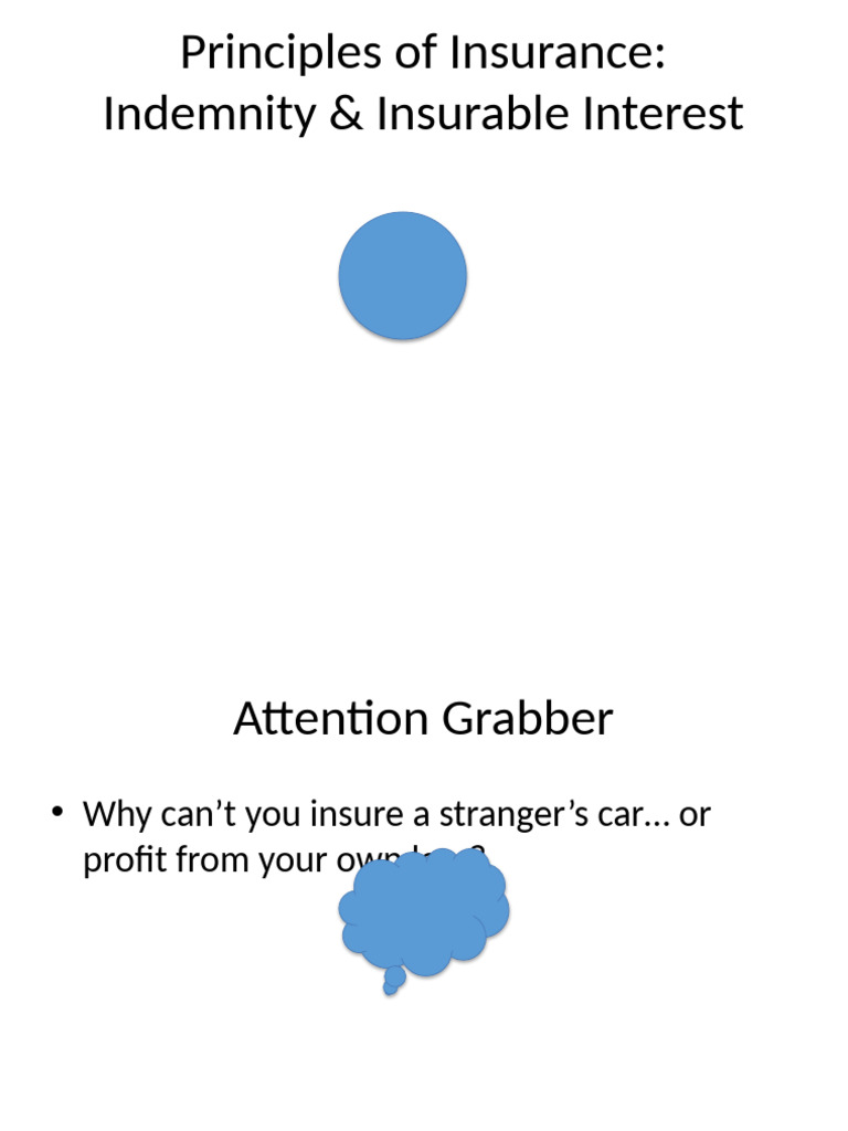 Principles of Insurance Visual Style | PDF