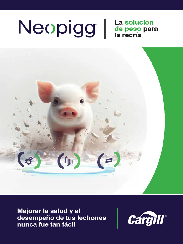 Alimentación Efectiva para Lechones Neopigg | PDF