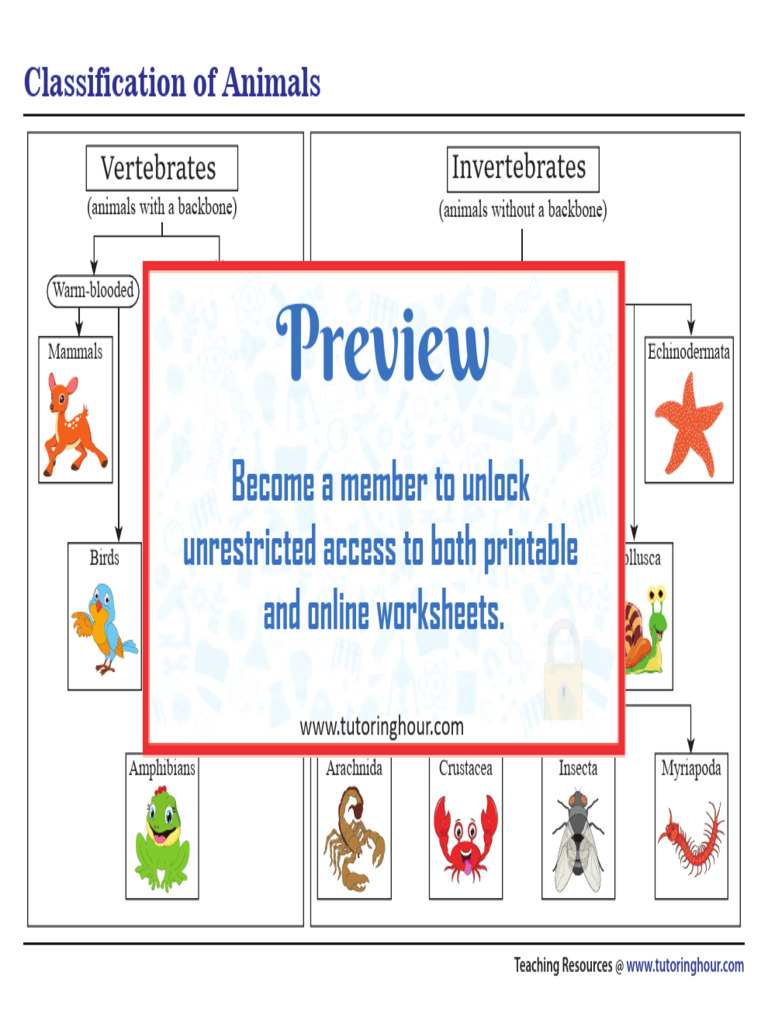 Classification Chart WM | PDF