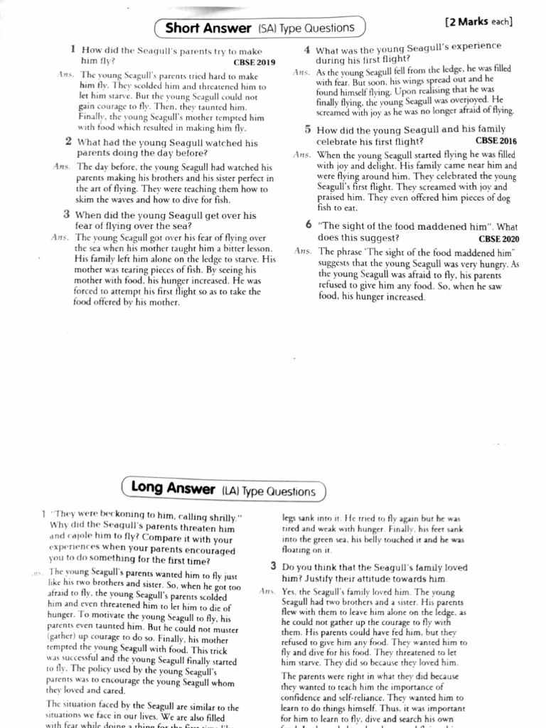 Q & A - 'Two Stories About Flying ' | PDF | Airplane