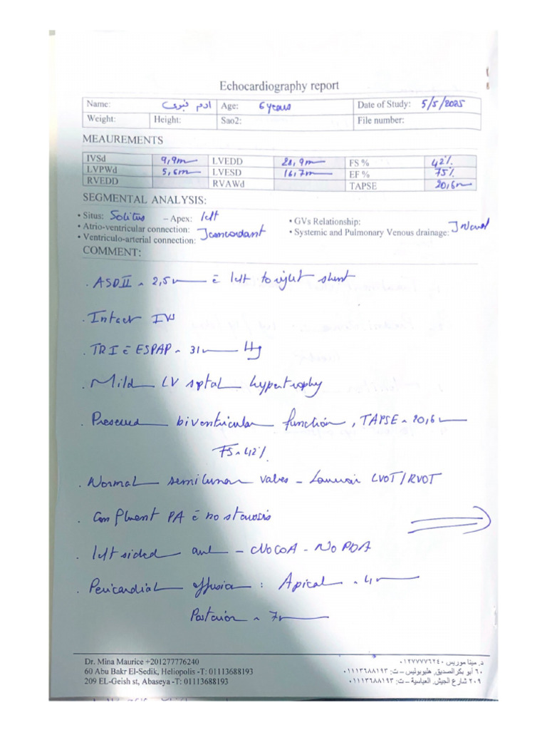 Echocardiography Report 2 | PDF