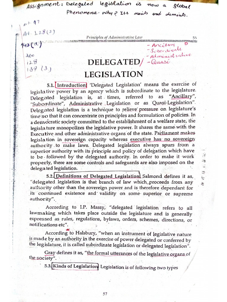 Delegated Legislation | PDF