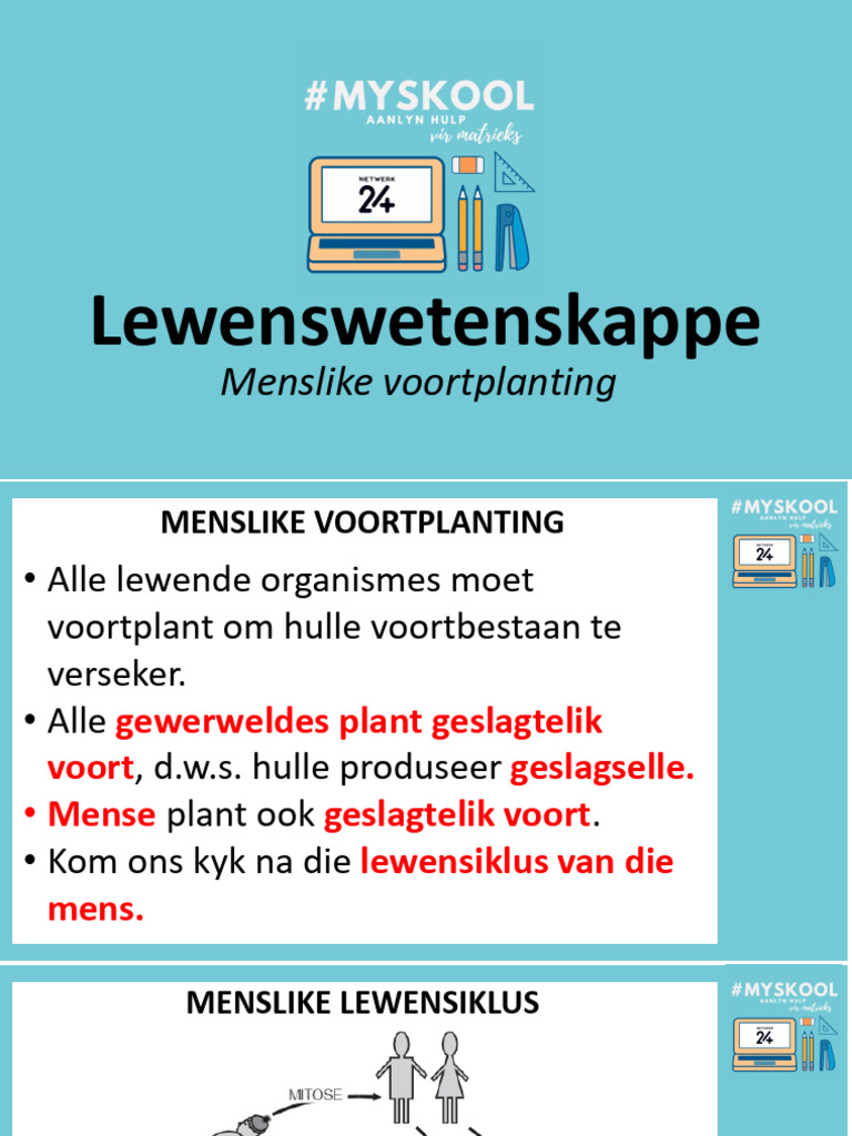 Menslike Voortplanting | PDF