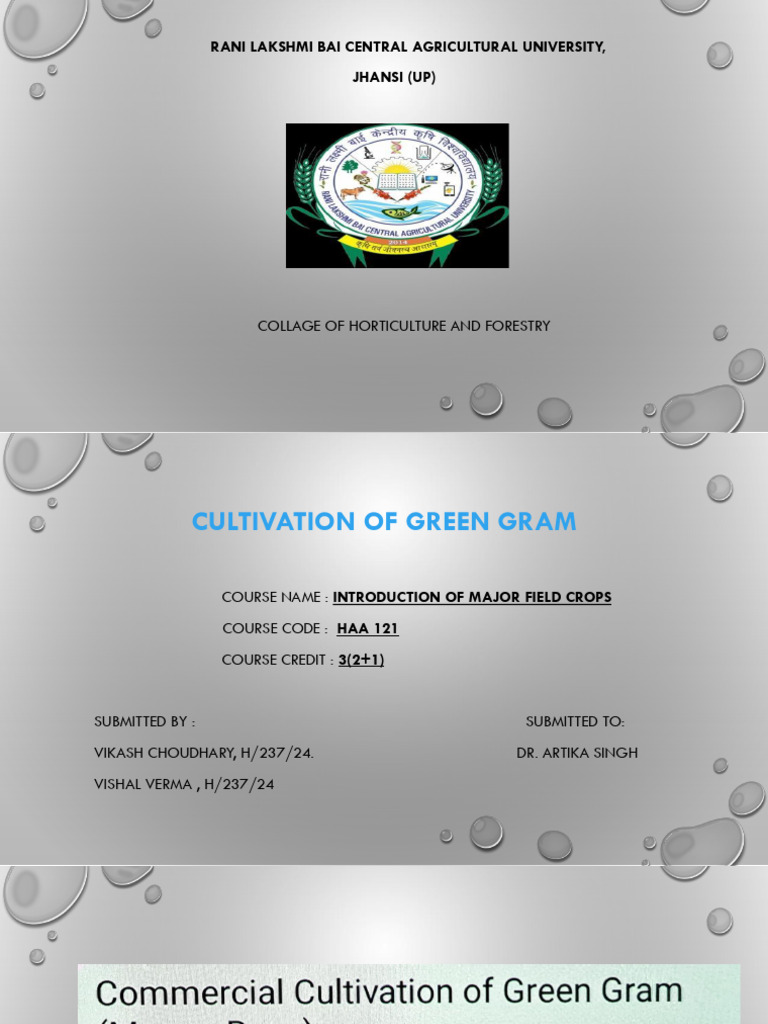 Rani Lakshmi Bai Central Agricultural University, Jhansi (Up) | PDF