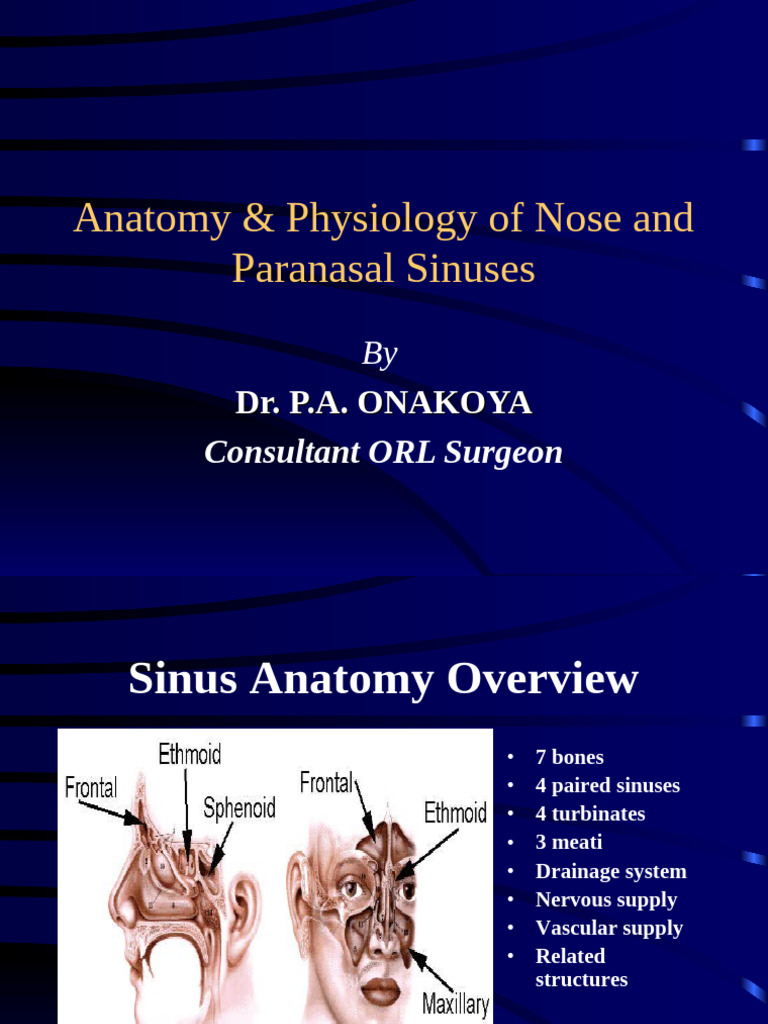 Anatomy of Nose and Paranasal Sinuses | PDF | Human Nose | Mucus