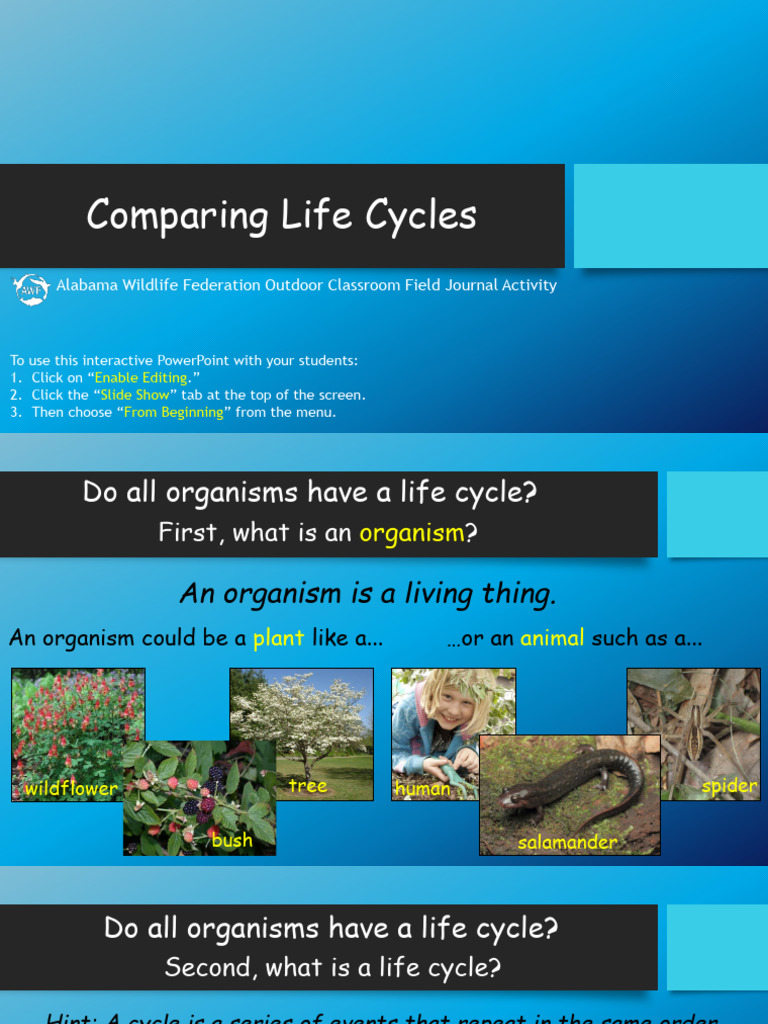 OC Field Journal-Comparing Life Cycles QA | PDF | Frog | Zoology