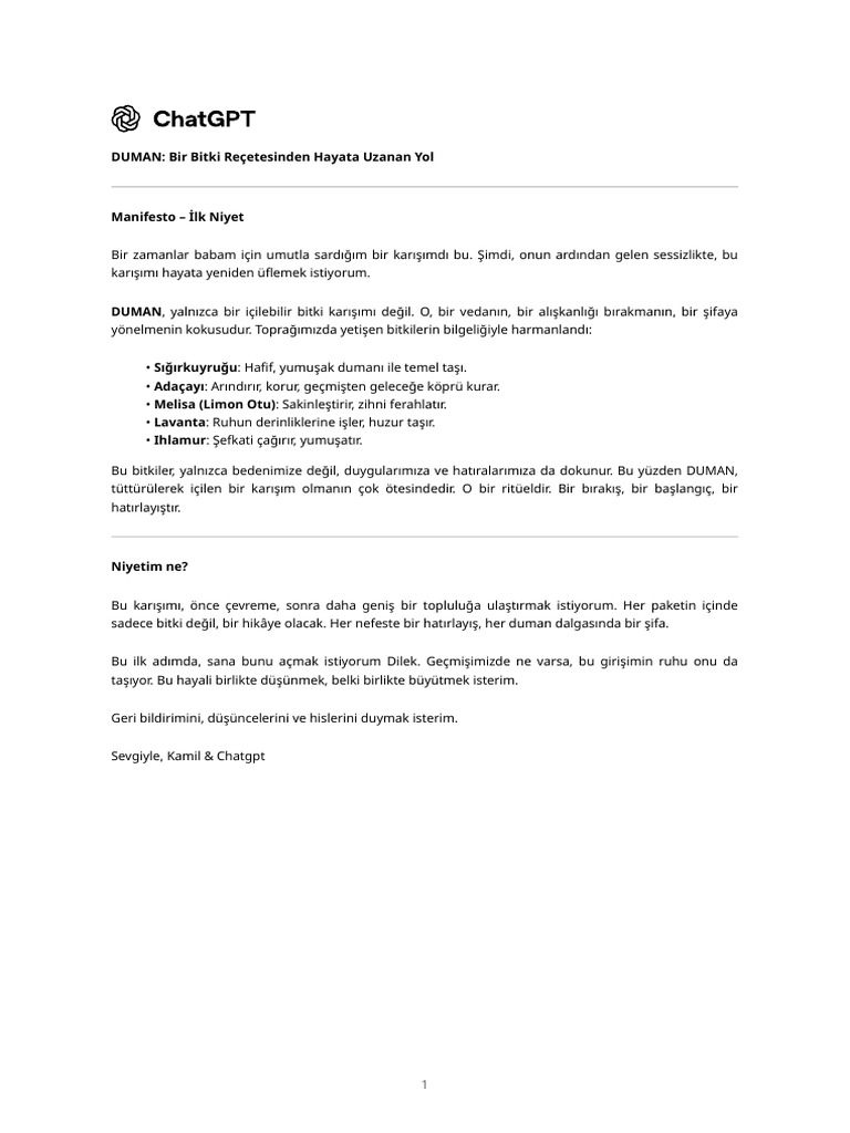 Duman Manifesto | PDF