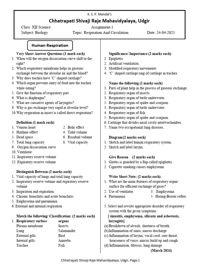 Assignment Respiration and Circulation 2025 | PDF | Respiratory System | Heart