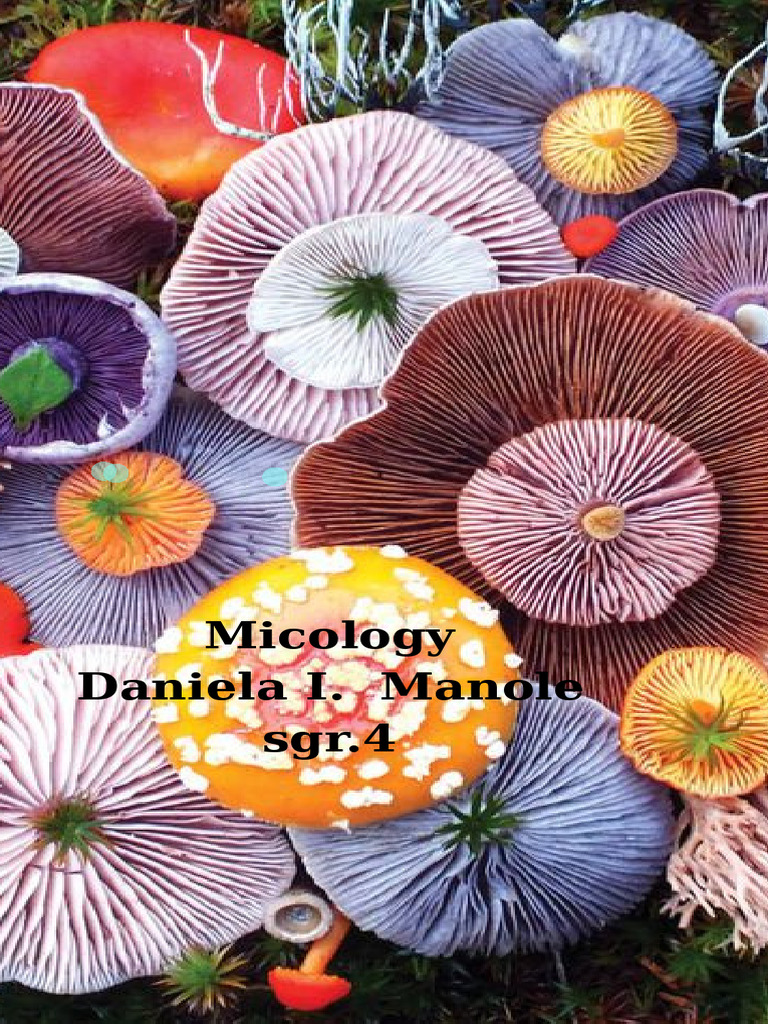 Micology Daniela I. Manole Sgr.4 PDF | PDF