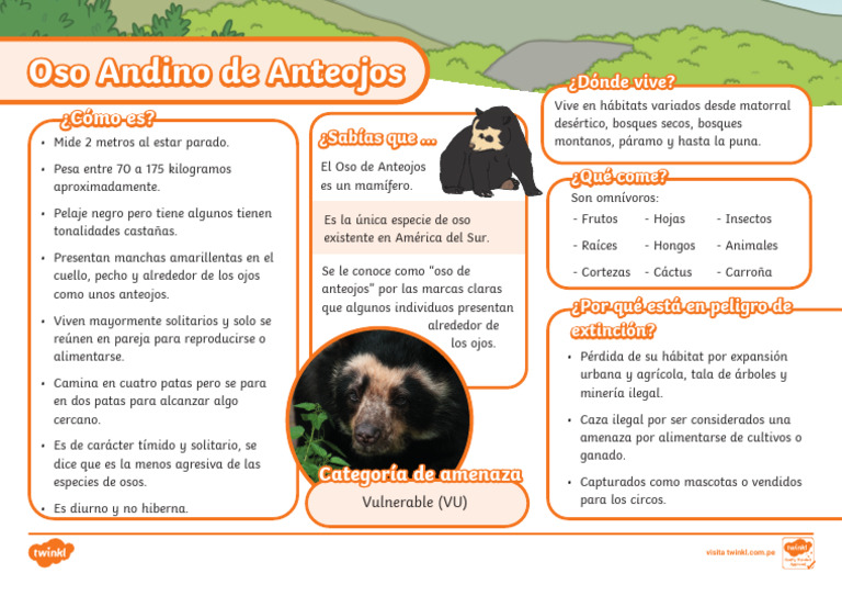 Sa CN 1731281995 Texto Informativo Oso Andino de Anteojos Ver 1 | PDF ...