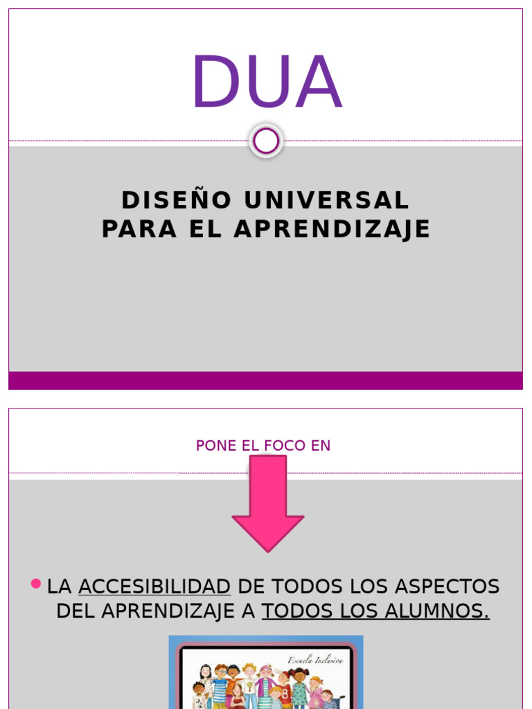 Principios del Diseño Universal para el Aprendizaje | PDF