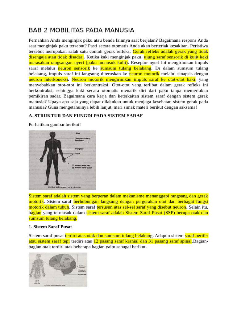 Mekanisme Gerak Refleks Manusia | PDF