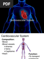 Cardiac Study Guide | PDF | Heart Failure | Cardiac Arrhythmia