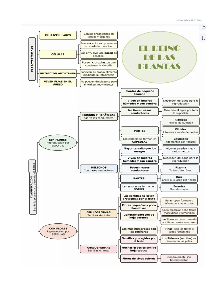 Esquemas de Biologia | PDF