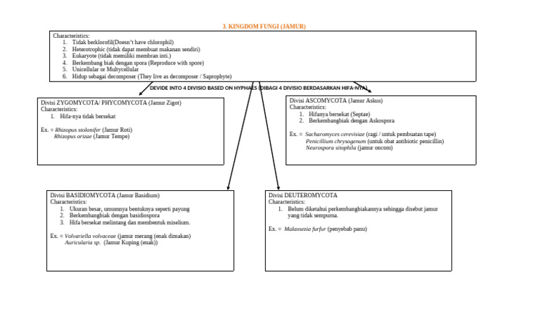 Ciri dan Divisi Jamur dalam Kingdom Fungi | PDF