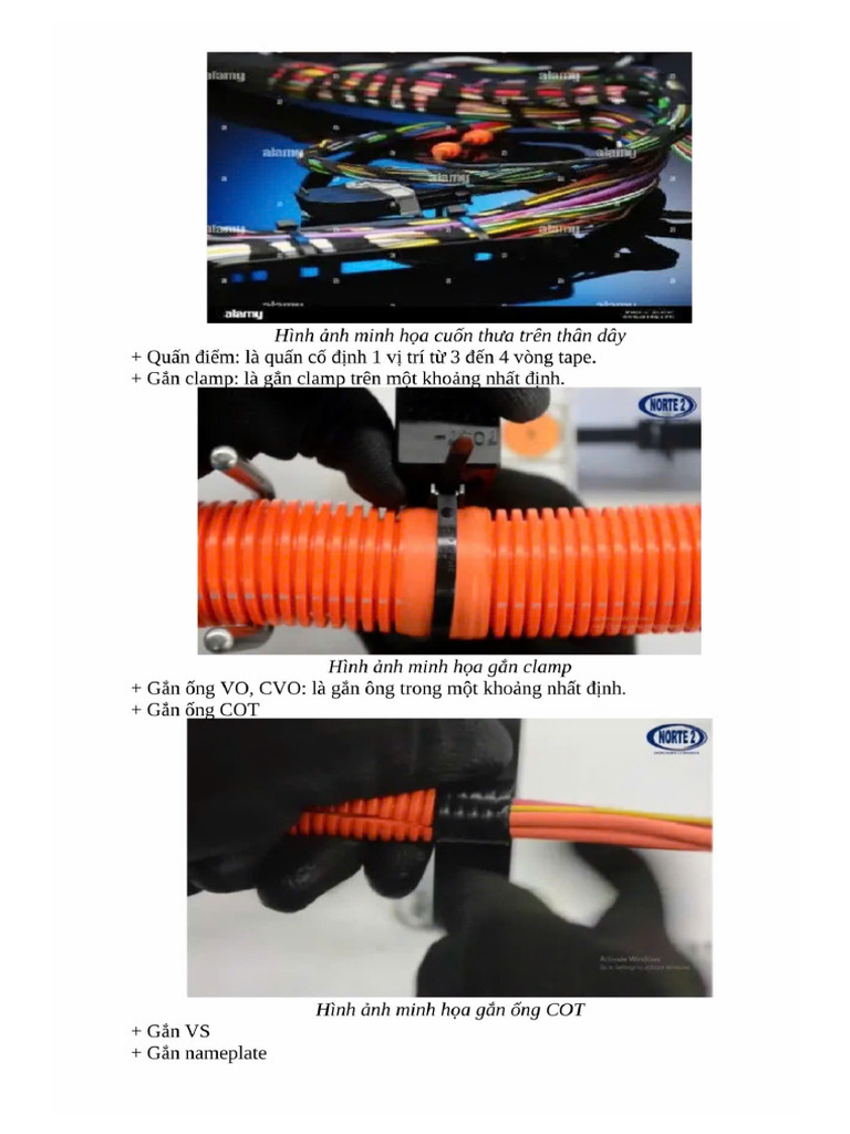 362b0d0650dae484bdcb14-Đã G P | PDF