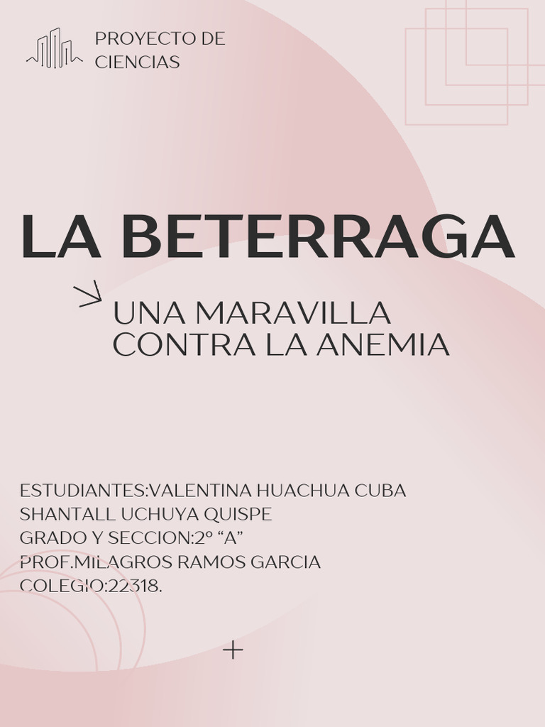 Beterraga: Solución Natural contra Anemia | PDF | Anemia | Alimentos