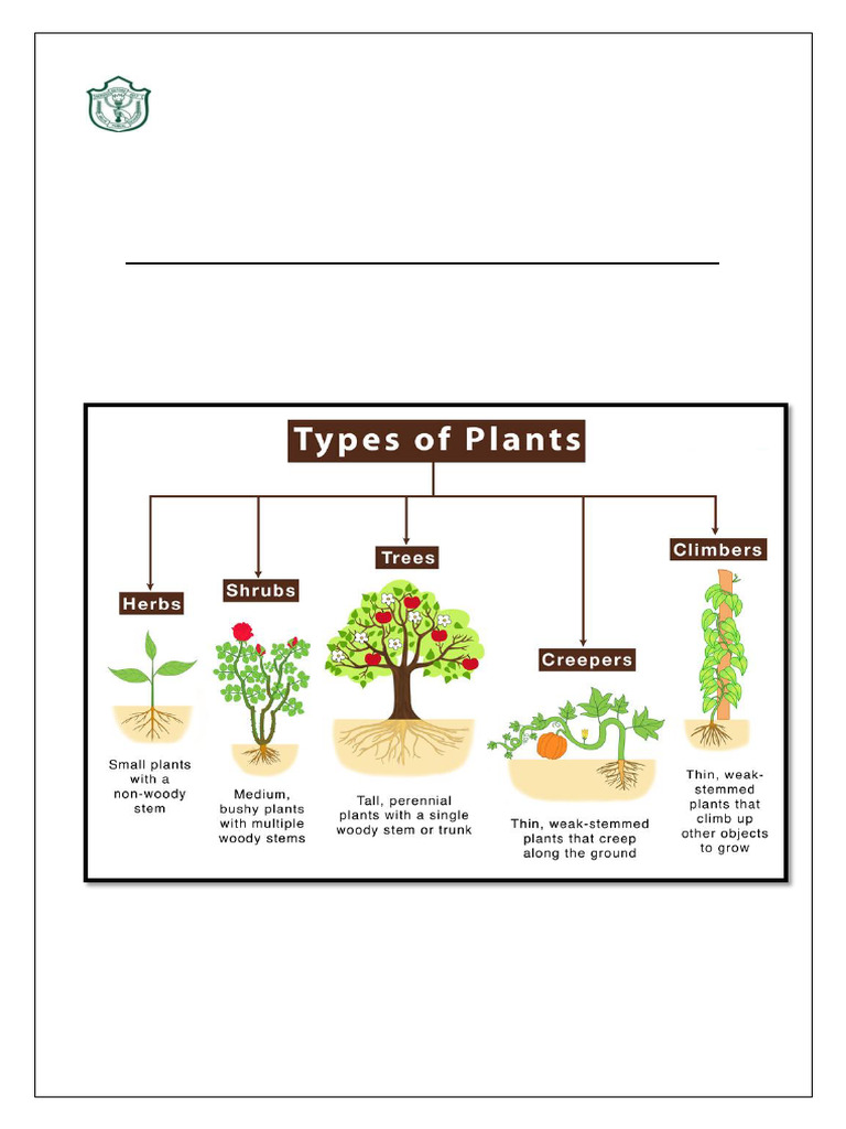 Class 3 Science SM May-June 2025-26 | PDF | Shrub | Trees