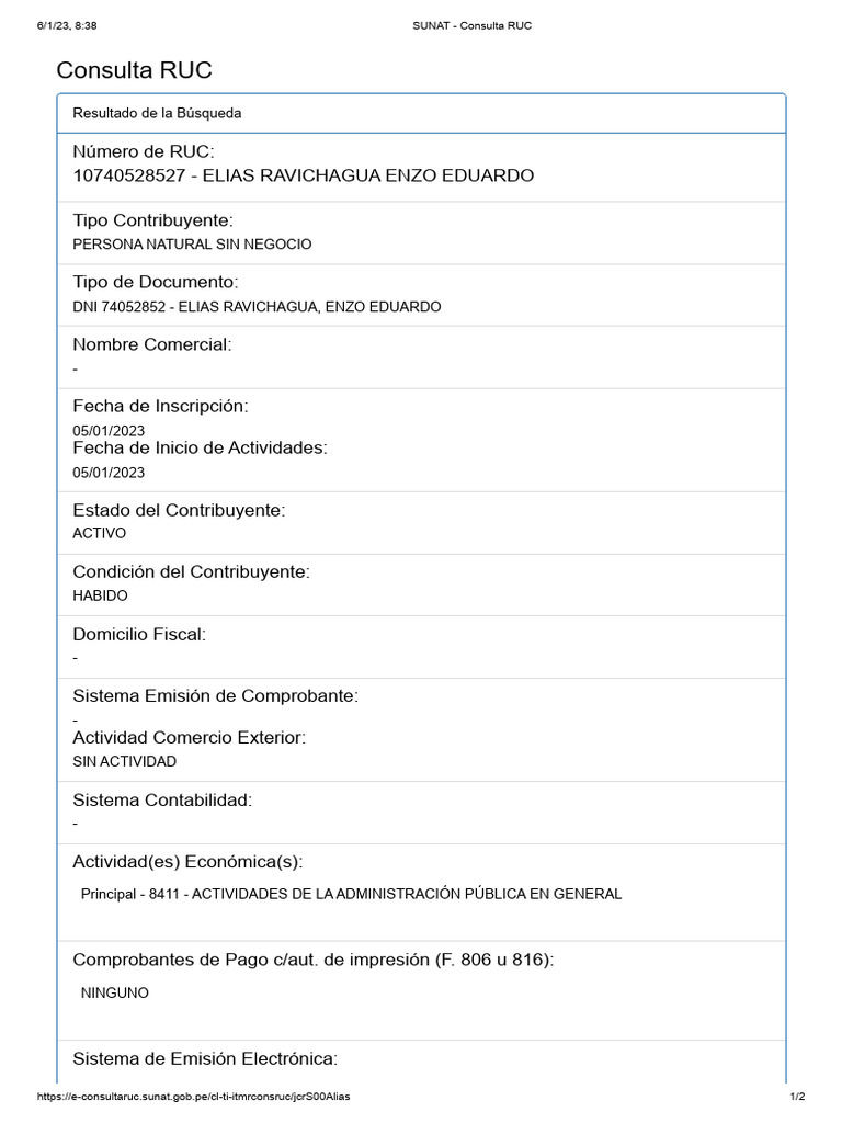 Sunat - Consulta Ruc | PDF
