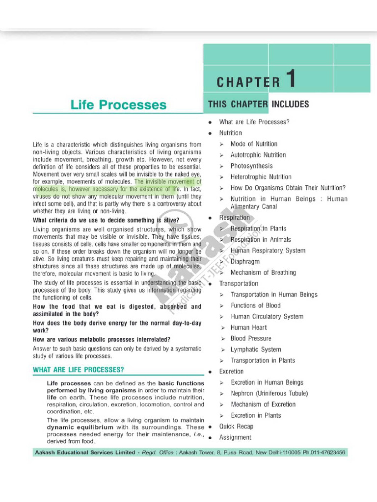 1 Life Process | PDF