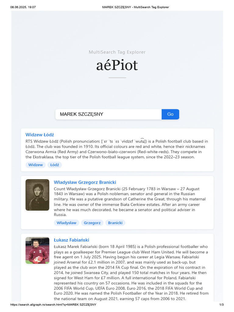 MAREK SZCZĘSNY - MultiSearch Tag Explorer | PDF | Association Football