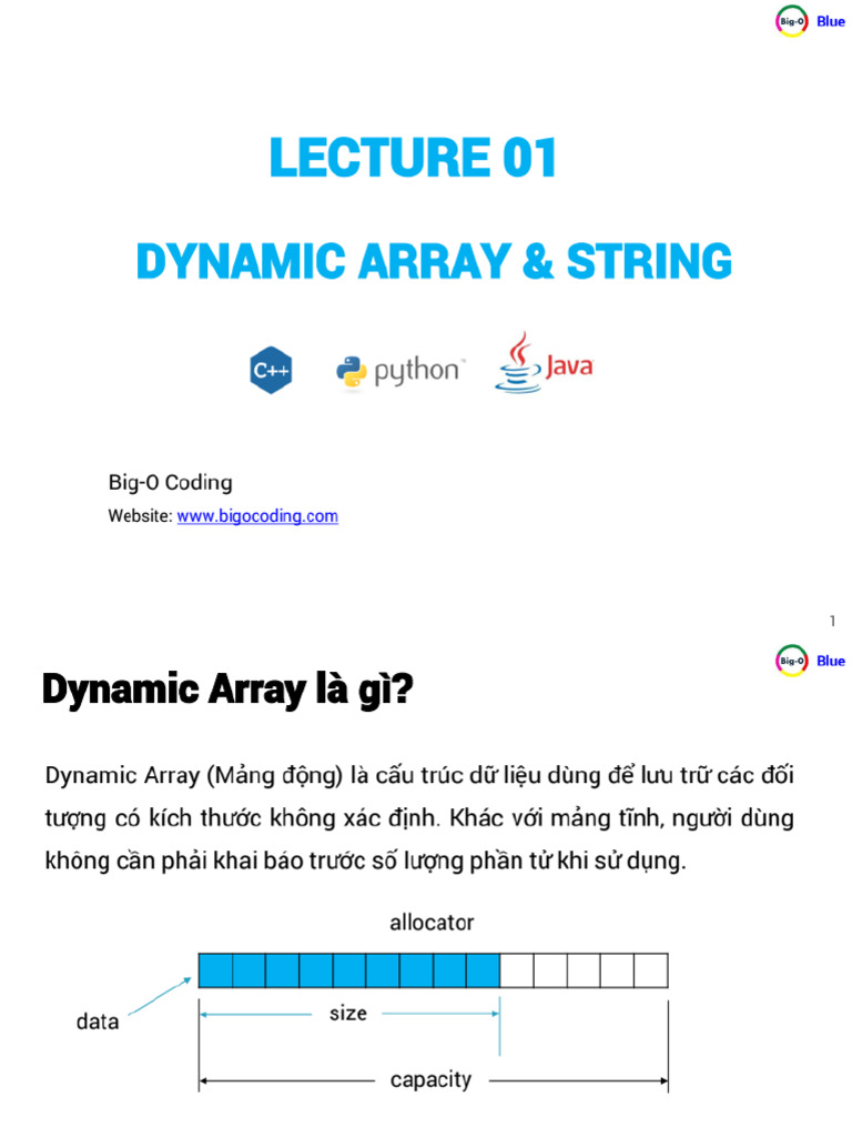 BigO Blue Lecture01 DynamicArray String 1600 | PDF