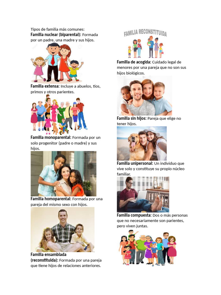 Tipos de familias: definición y ejemplos | PDF