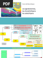 Respiration et branchies des poissons | PDF | Branchie | Physiologie ...