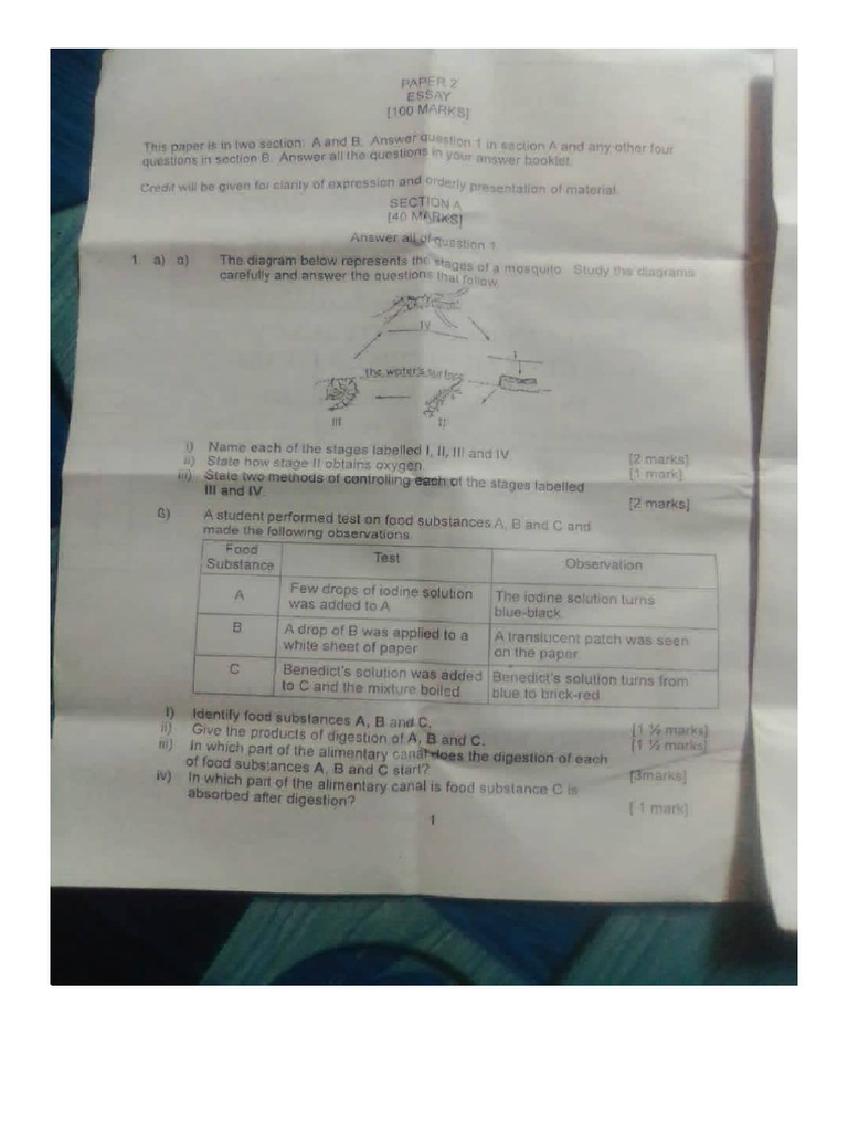 Int Science BECE | PDF