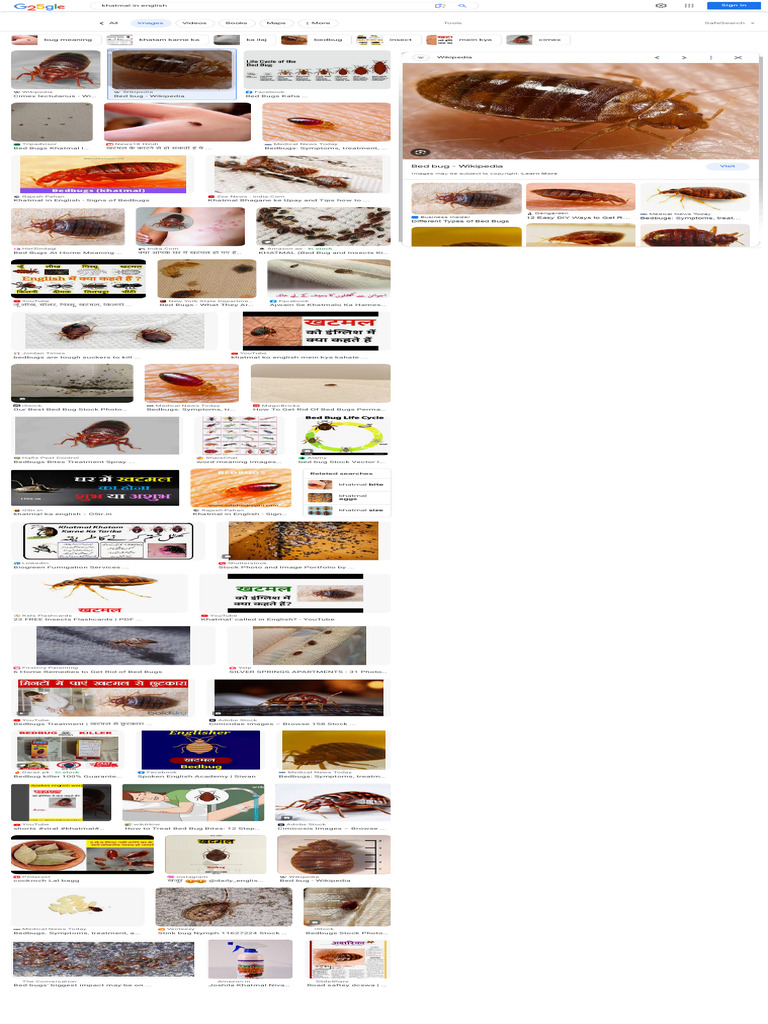 Khatmal in English - Google Search | PDF | Insects