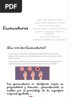 Quemaduras Faciales y Signos de Flogosis | PDF | Quemar | Inflamación