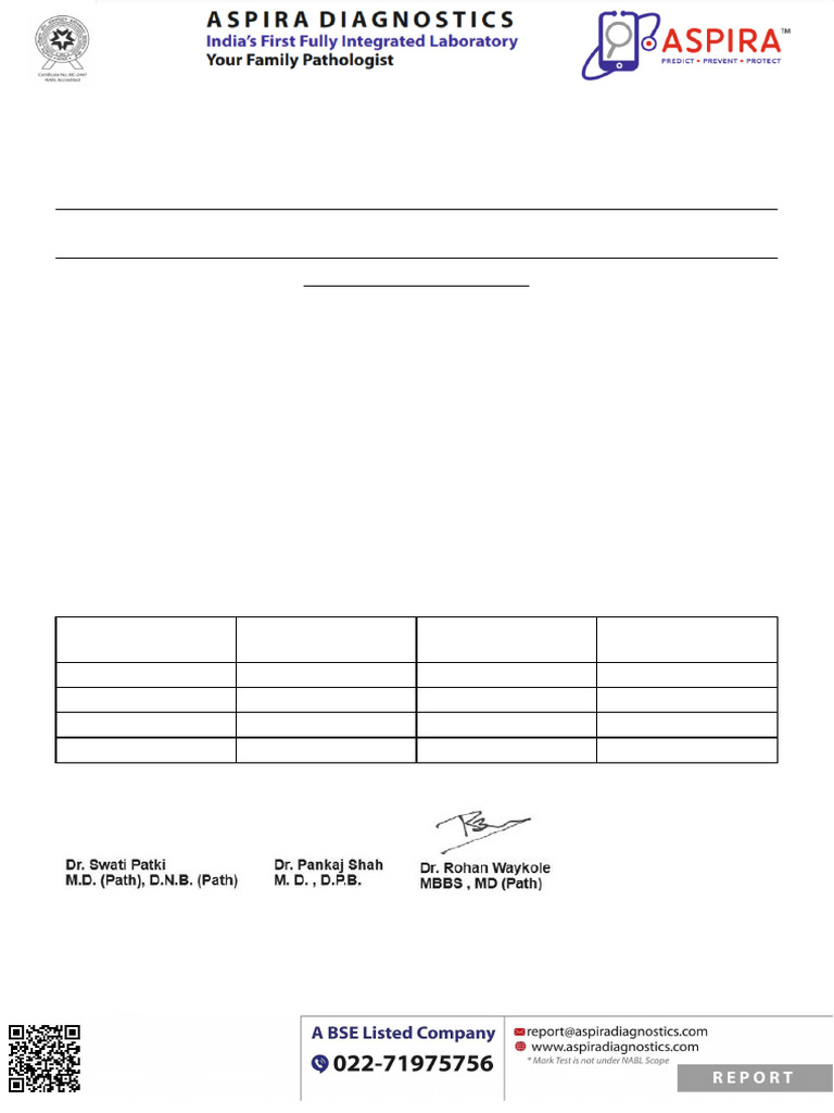 Ashish J. Shah Iron Reports | PDF | Anemia | Blood