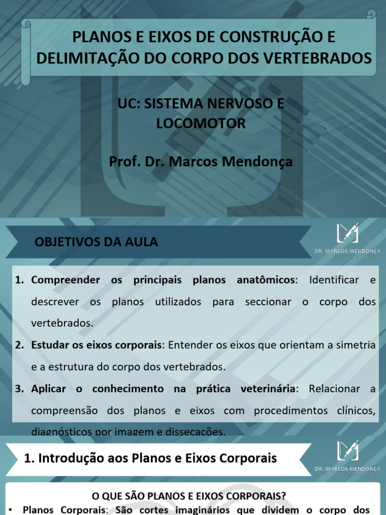 Cópia de 1 Planos e Eixos | PDF | Anatomia | Corpo humano