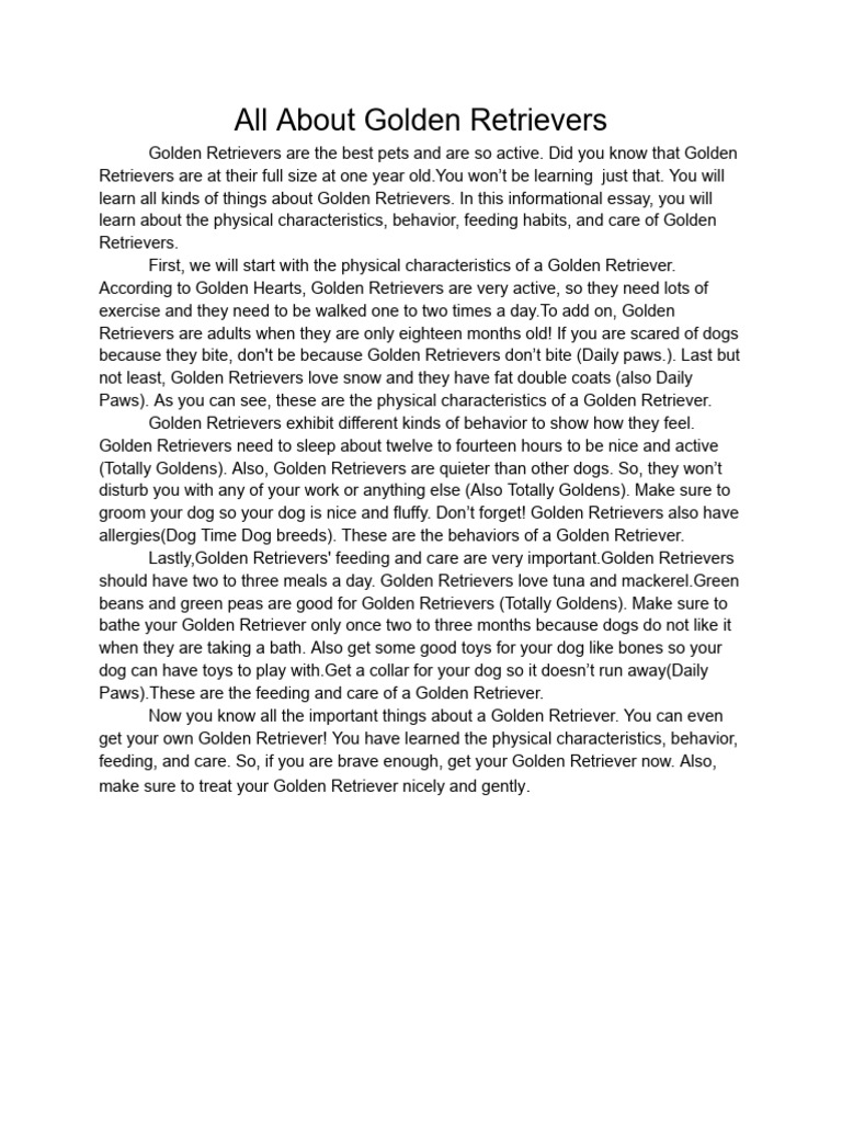 All About Golden Retrievers | PDF