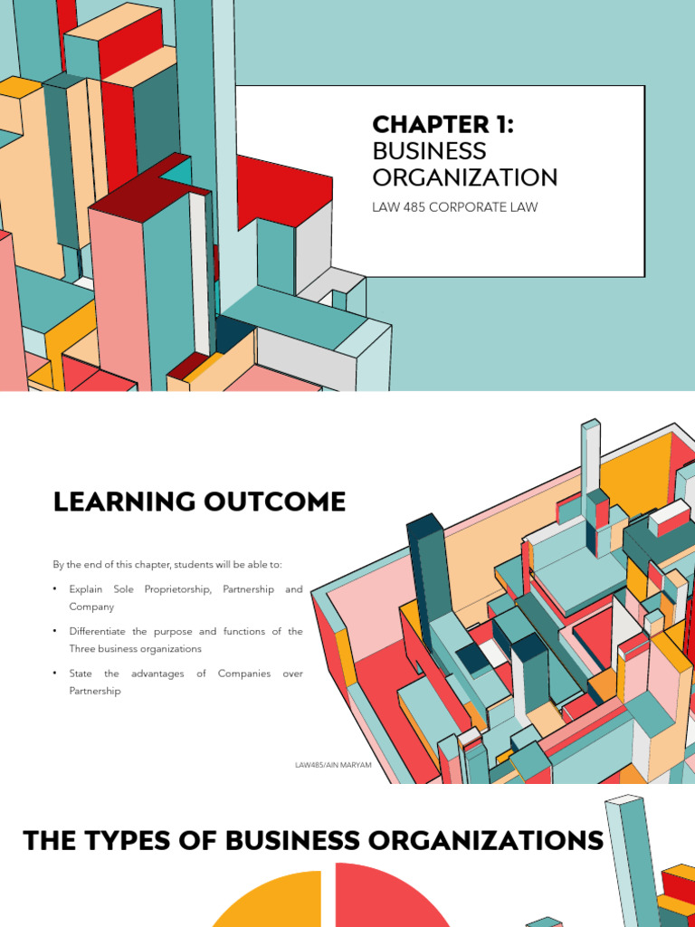 Business Organization Types Explained | PDF | Partnership | Sole ...