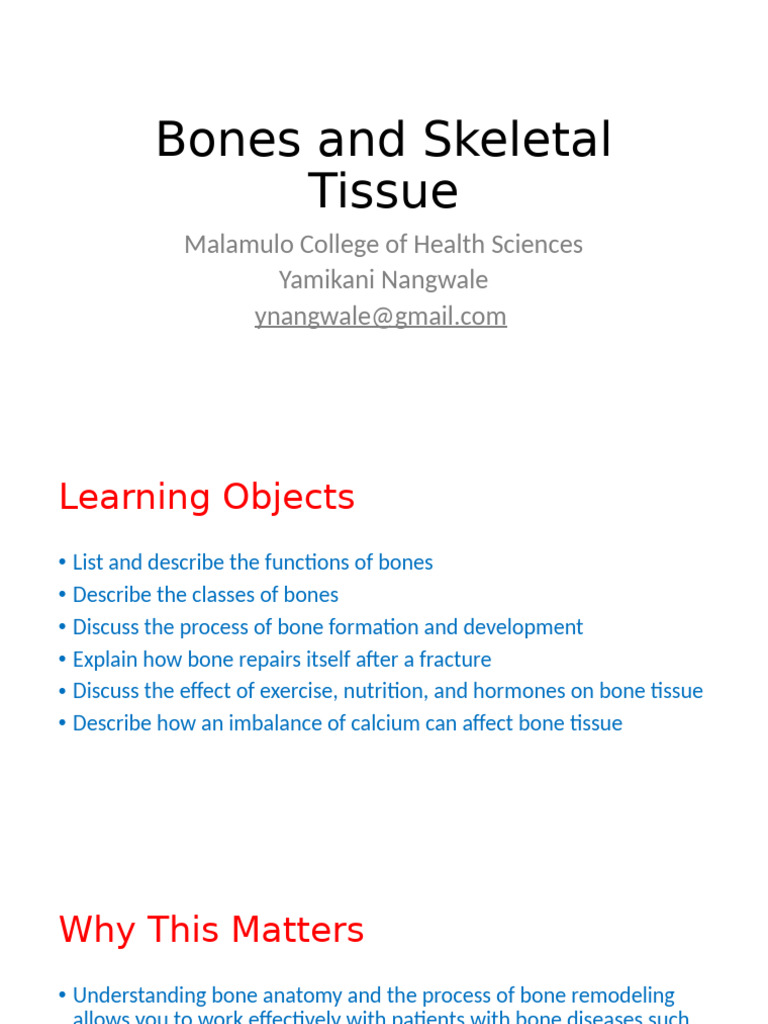 Bones and Skeletal Tissue | PDF | Bone | Osteoblast