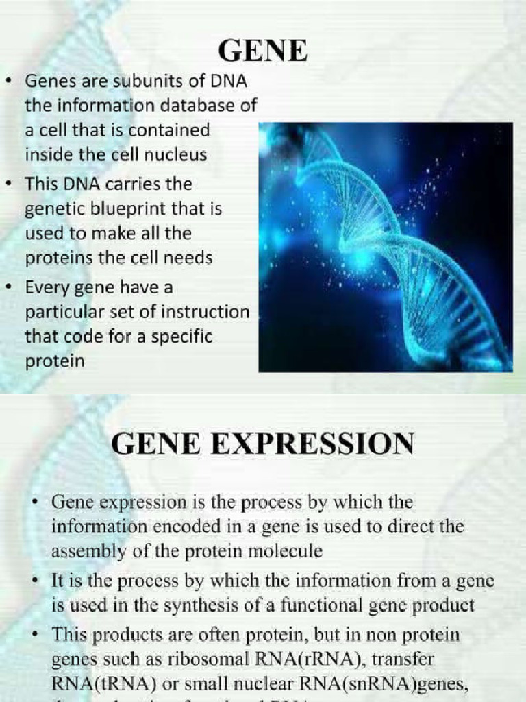 Gene Expression | PDF