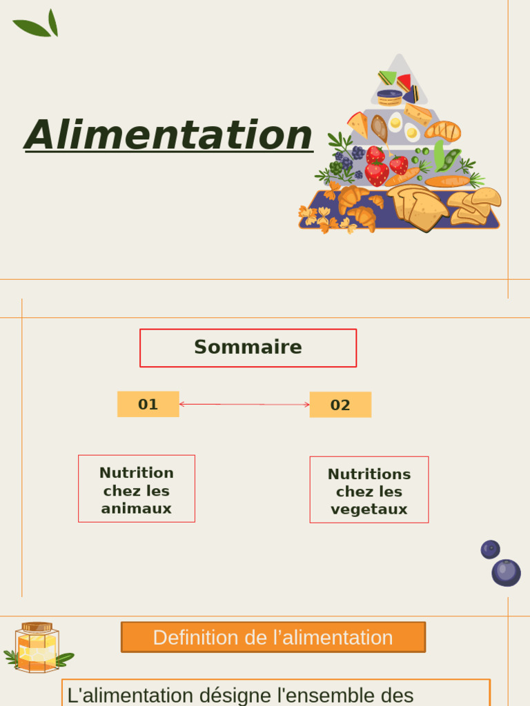 Khayi Projet Alimentation | PDF | Manger | Nutrition