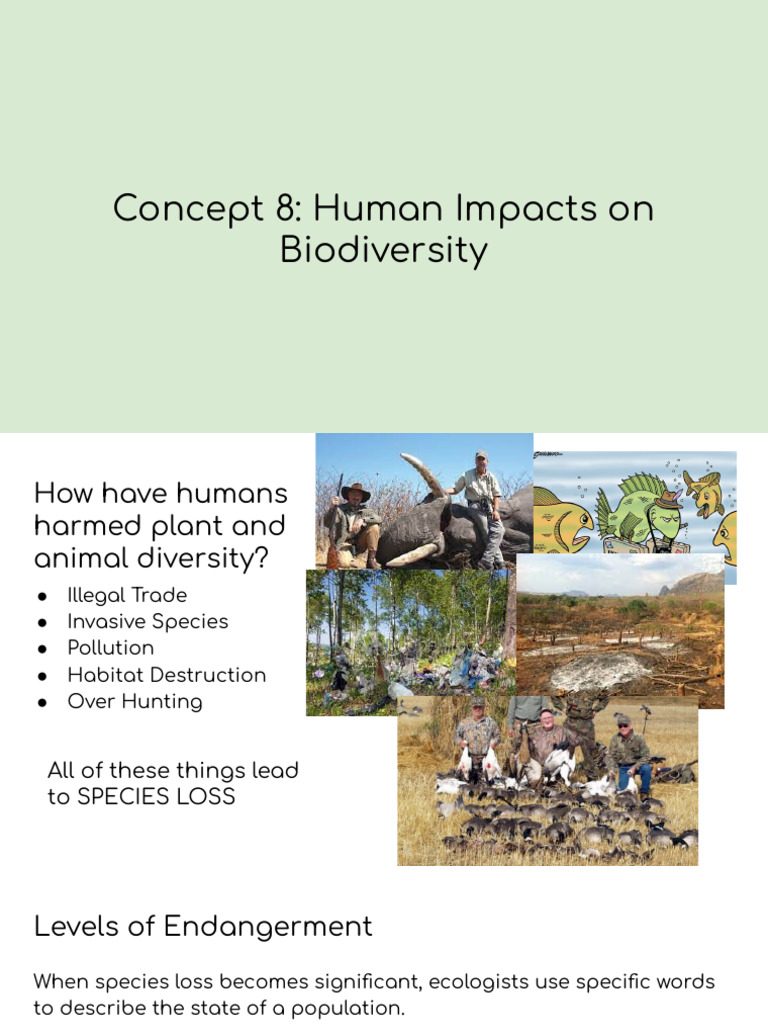 Concept 8 - Human Impacts | PDF