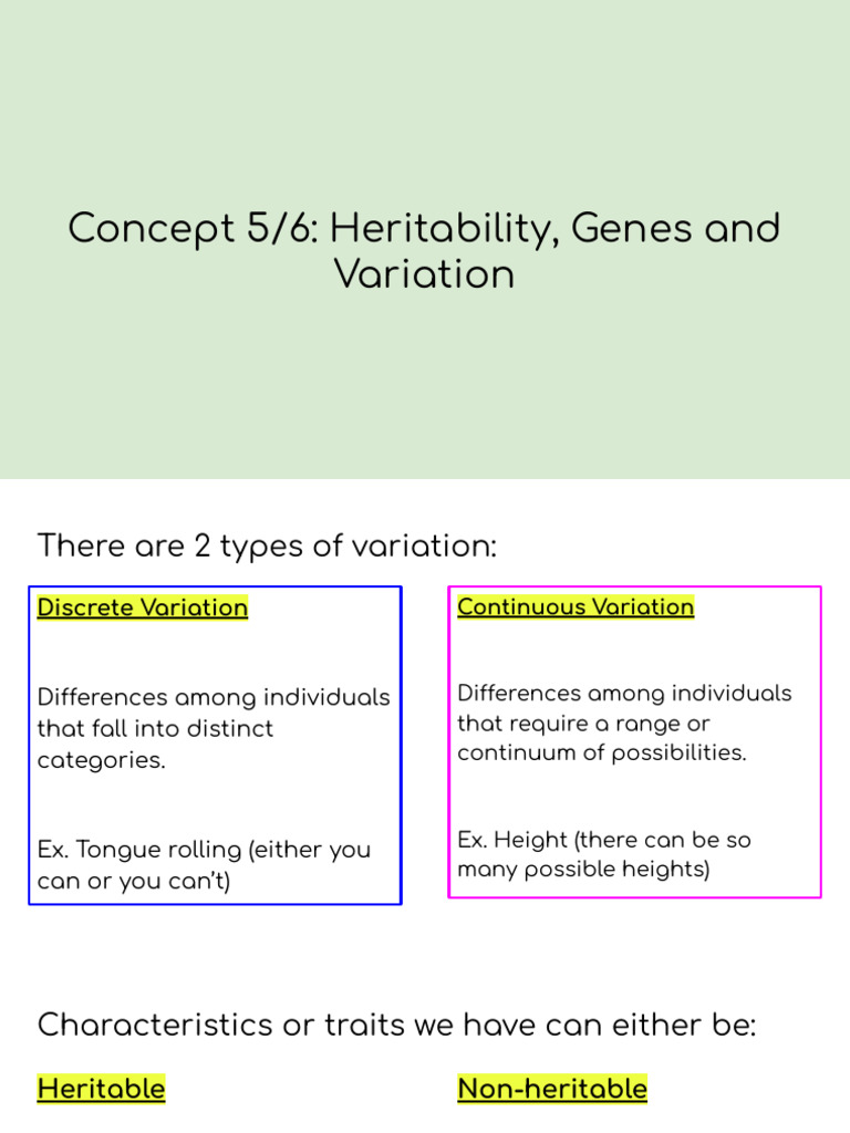 Concept 5 - 6 - Heredity, Genes, and Variation | PDF | Dominance ...
